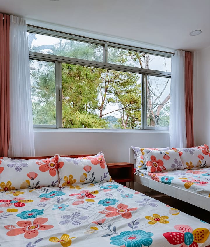 Nucasa Transient House | Secluded Baguio Home | - Baguio
