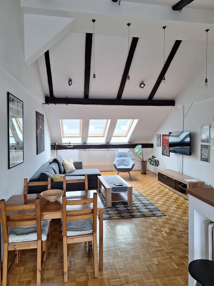 Excellent 2 Bedroom Apartment In The Center - Novi Sad