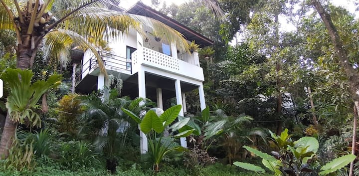 Beautiful Bungalow In The Jungle - Ko Pha Ngan