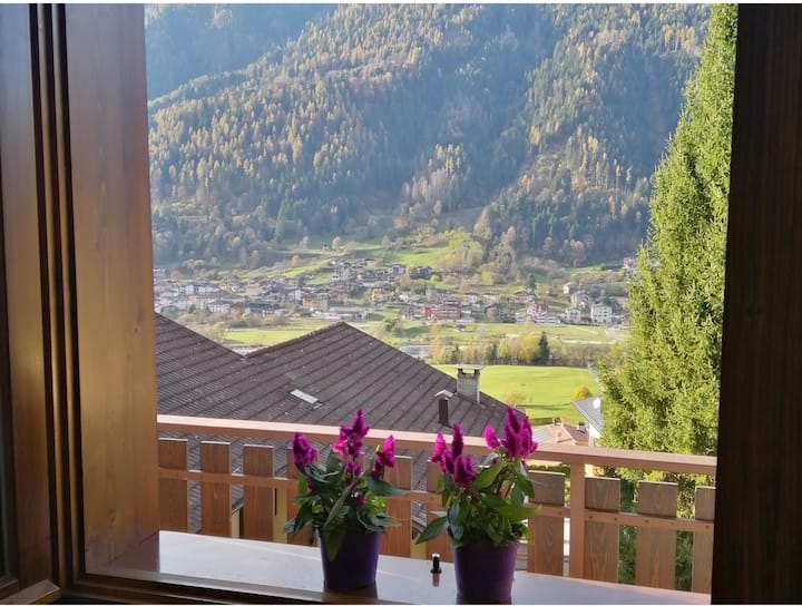 Marisa's House In Dolomit By Holiday World - Pinzolo