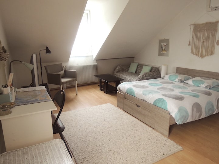 Logement Sympa Et Confortable - Colmar