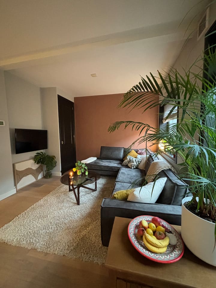 Appartement Amsterdam Zuid - Amsterdam