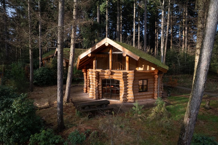 Bossch-log - Baarn