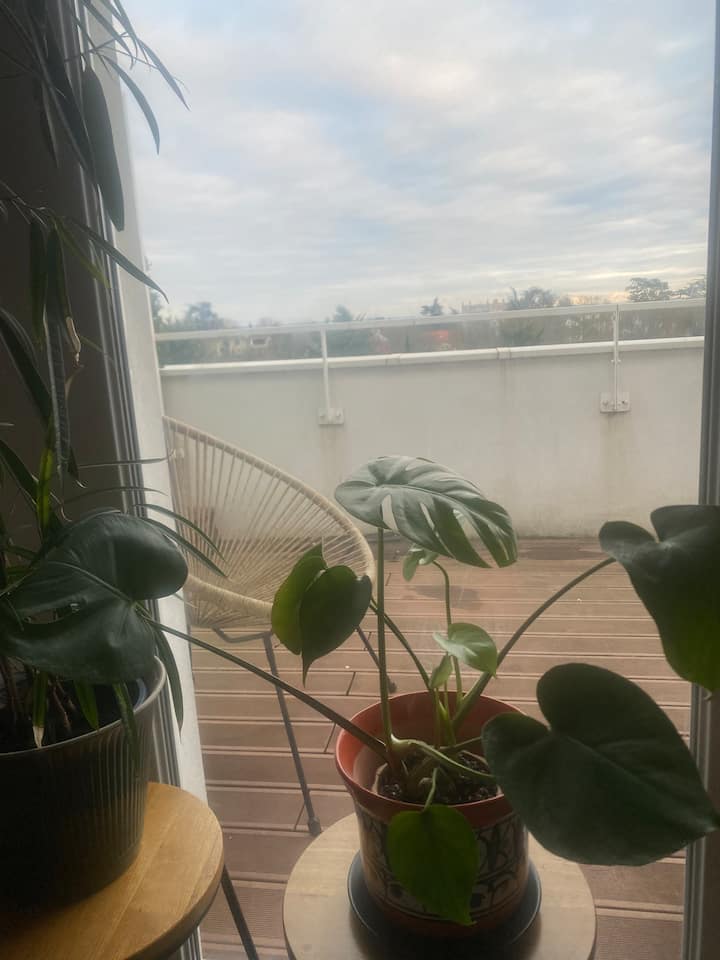 Appartement Lumineux Et Cosy - Neuville-sur-Saône