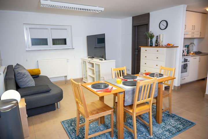 Souterrainwohnung Am Elbhang - Dresden