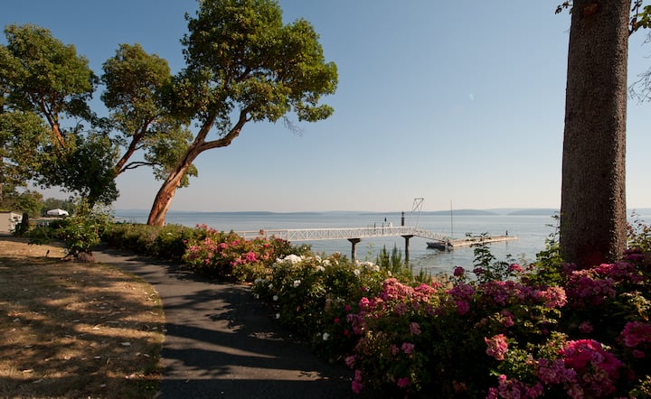 Raven's Mini - Ladysmith