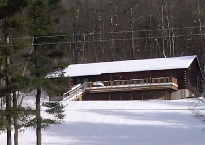 Cozy Cabin Near Lime Lake - Alpine Lake, Delevan