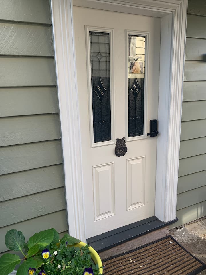 Devonport : Albert Rd Apt
North Shore: Auckland - Auckland