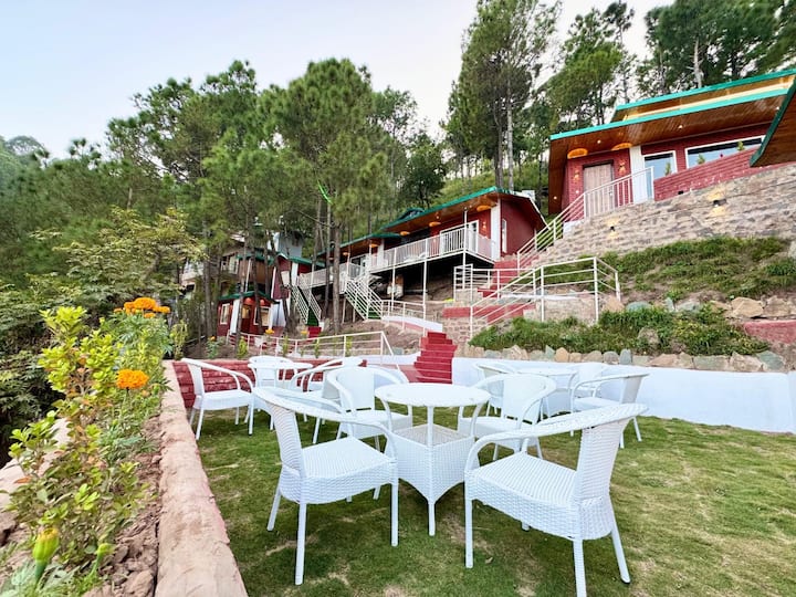 Kasauli Pine Huts - Solan