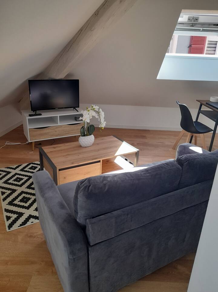 Studio Calme Cosy Idéal De 1 à 3 Personnes - Montbéliard