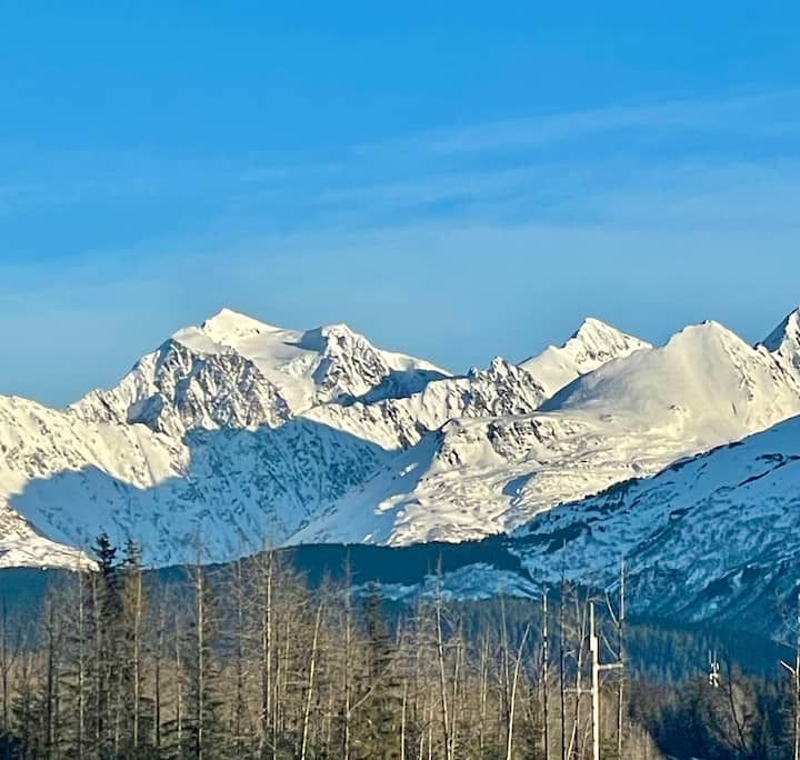 2 Bedroom/1 Bath Primrose Peak 
Not Kid Friendly - Seward, AK