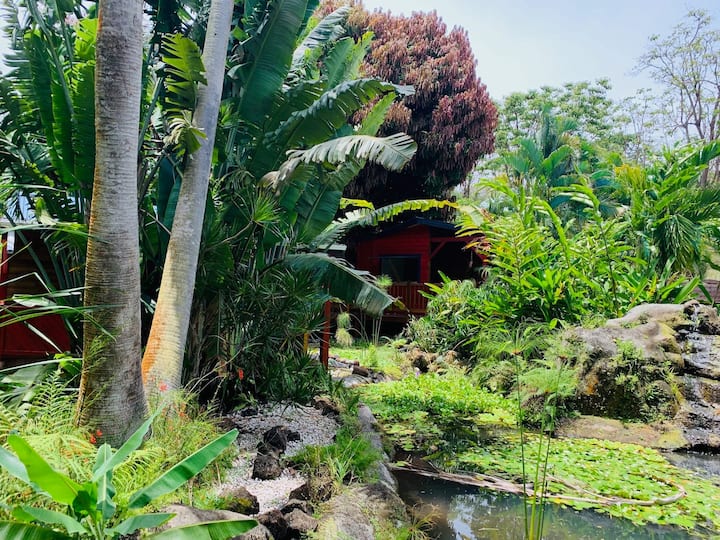 Le Morne Aux Fous - Bâbord - Deshaies