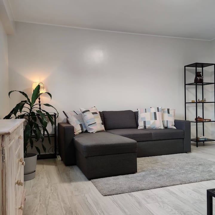 Downtown-fully-equipped 2x2-apartment - Reikiavik