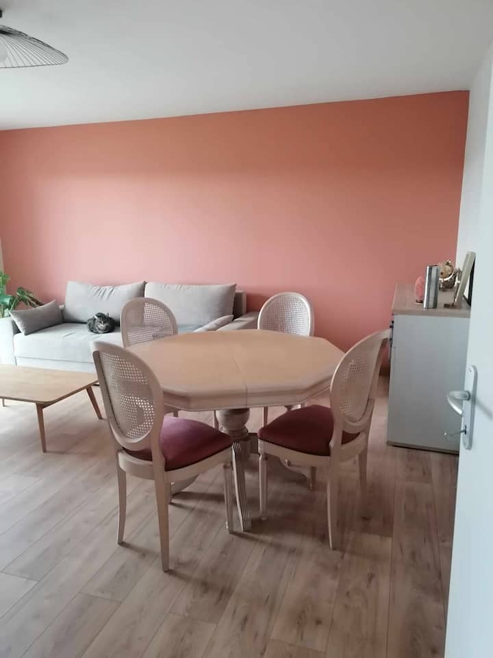 Appartement Confortable - Dax