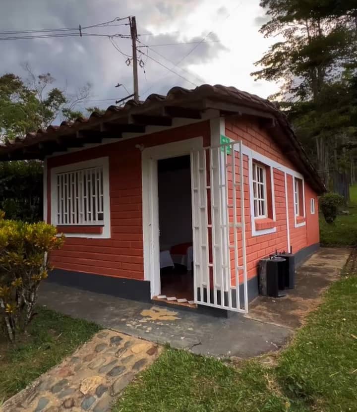 Yarumitofincah- Cña. Pensamiento - 