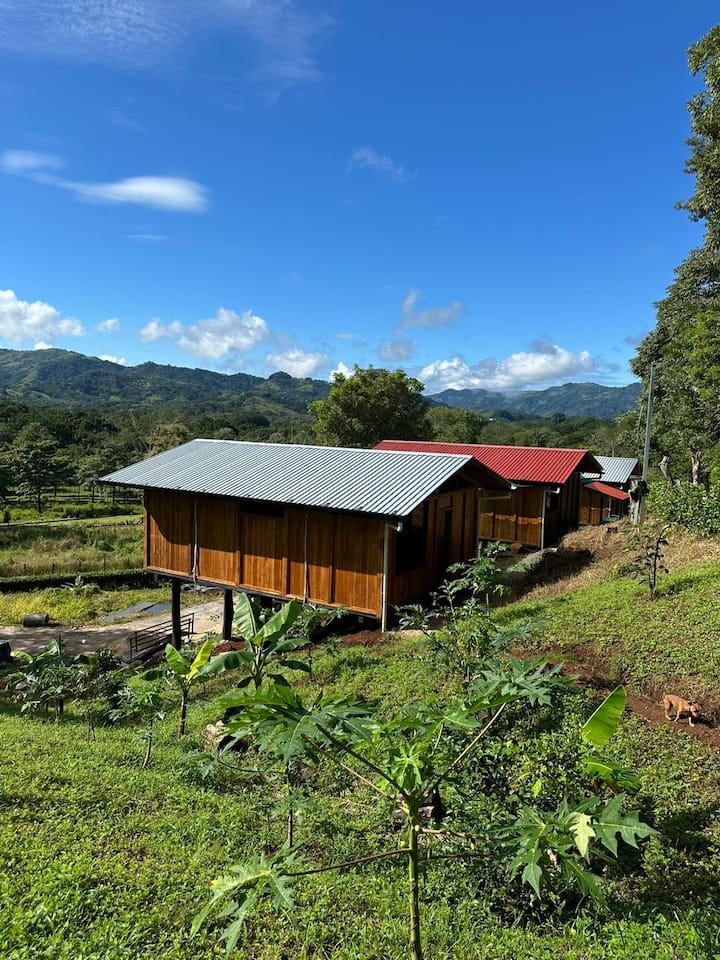 Cabañas Doña Li - Nicoya
