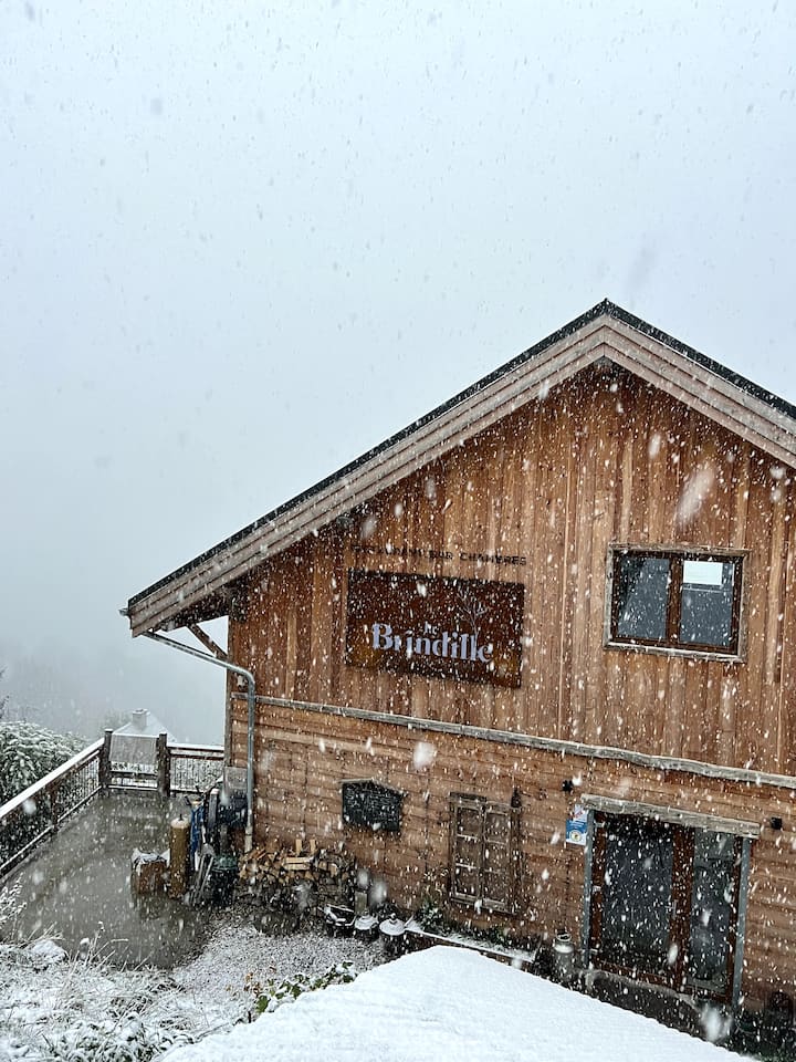 Chalet De Montagne. - Villard-Reculas