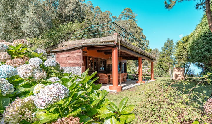 Quinta São Jorge - Abrantes