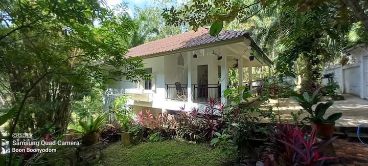 Studioin Palm Tree 10 Min Tobeachbymotorcyclepetok - Krabi