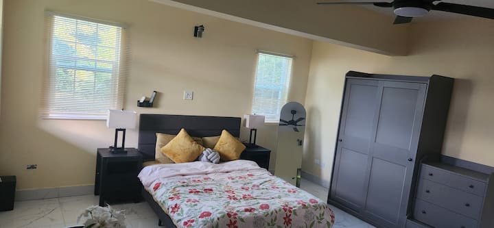 D.r² Apartment In Olveston - Montserrat