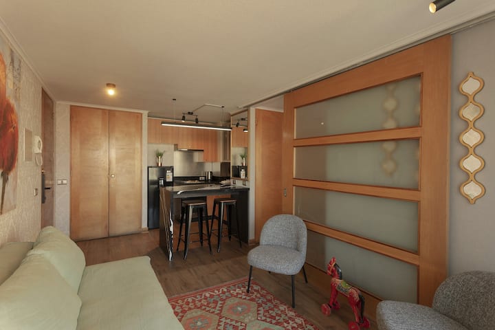 Espectacular Departamento Suite - Providencia, Chile