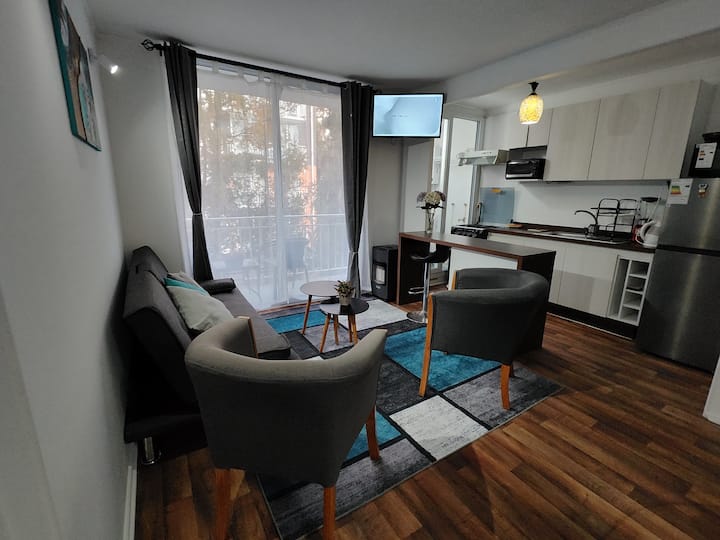 Buen Departamento Full Equipado - Pucon