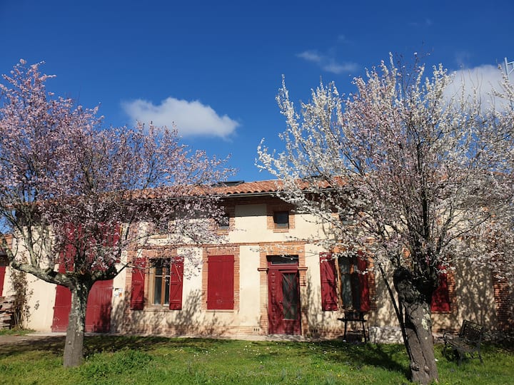 Ferme Maraichère Toulousaine - Toulouse