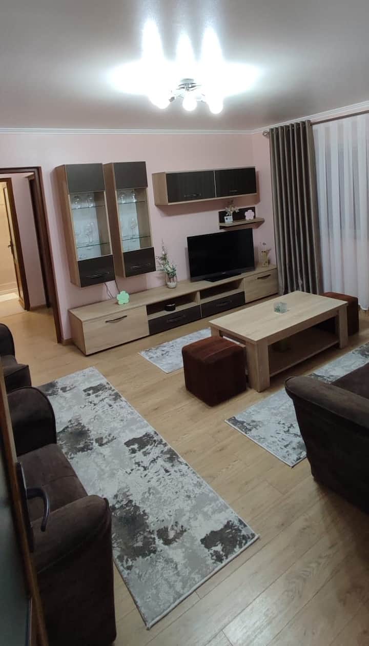 Cool Apartment Radauti - Siret