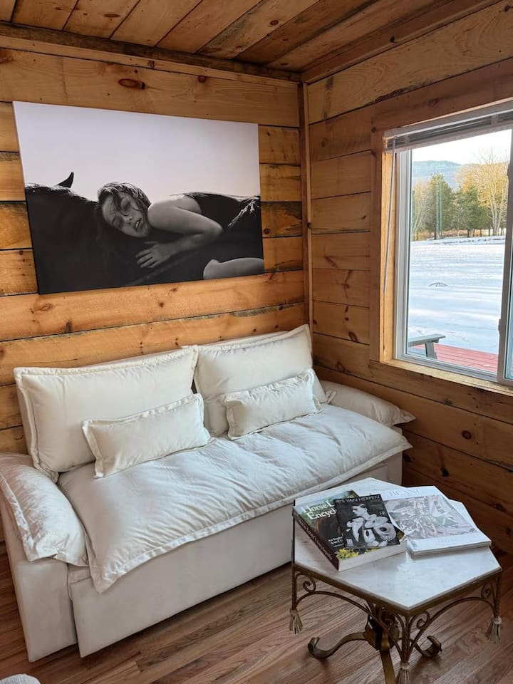 2 Bed Cabana In The Catskills. - Catskill, NY