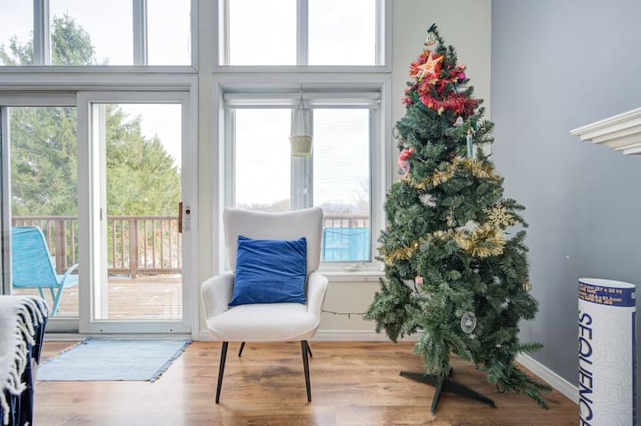 Lakefront Highceiling Cottage - Napanee