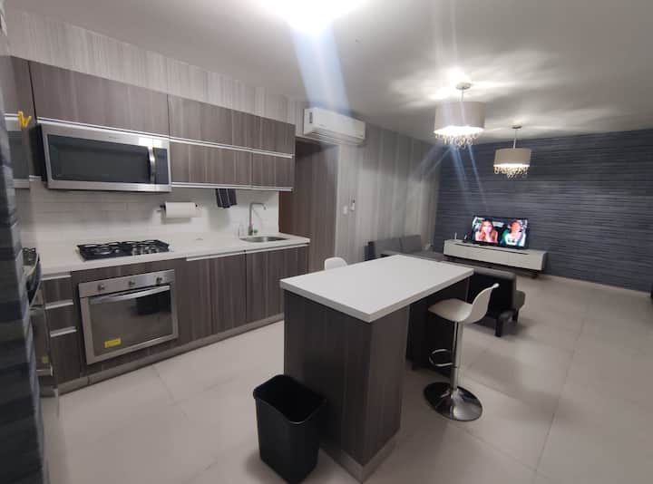 Departamento En El Centro. - Monterrey