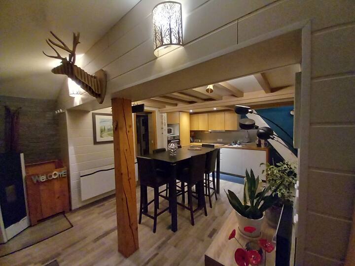 Chalet Chaleureux Type Pagotin - Métabief