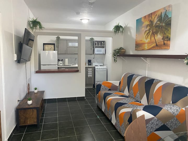 Comfortable Beach Apartment - San Juan