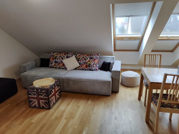 Moderne 2,5 Zi Wohnung Auf Zeit - Regensburg