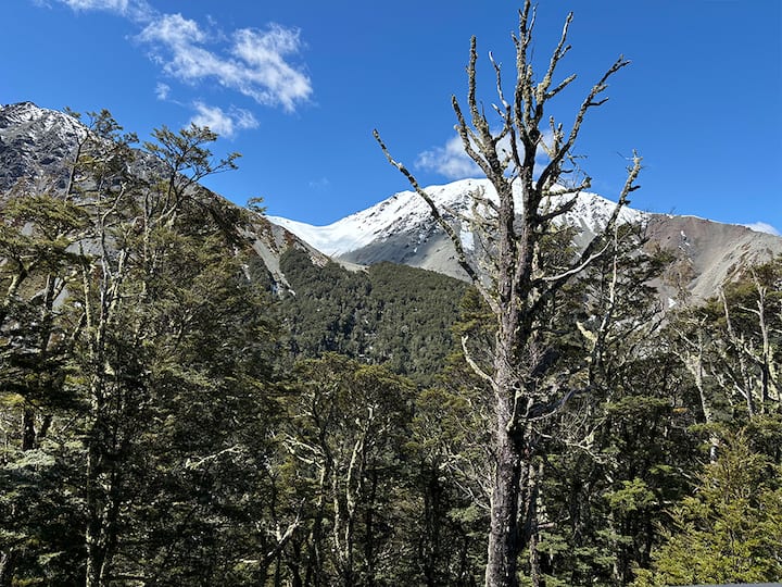 Summer Whakahaere - Cv Ski Field - Broken River Ski Area