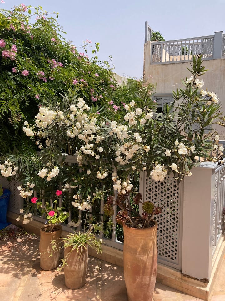 Ryad De Charme : Dar Nova® - Essaouira