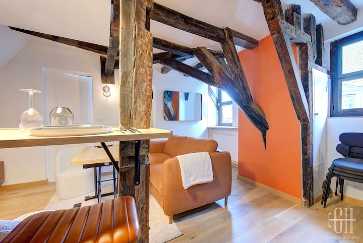 Le P'tit Plum - Appartement - Centre Historique - Tours