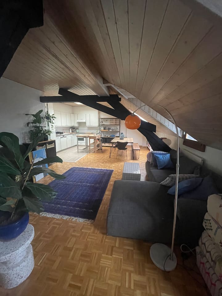 Cosy Attic Apartment In Paquis (Whole Property) - Genf
