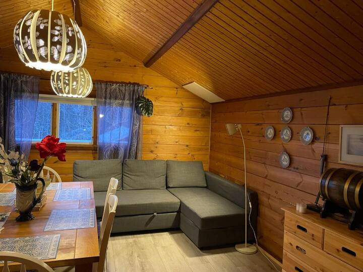 Scandinavian Red Wooden Cottage - Karlsborg
