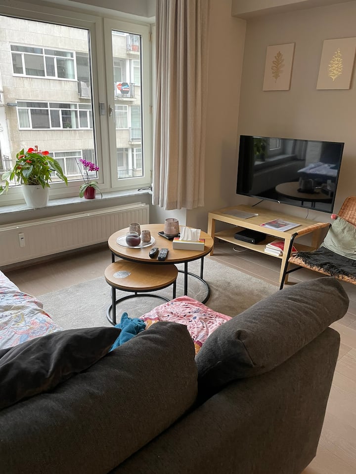 Joli Appartement 2 Chambres En Centre D'oostende - Ostend