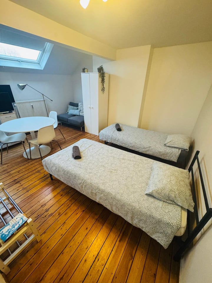 Flat ÉLégant Et Douillet - Bruselas