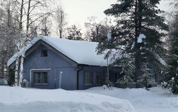 Mökki, Paritalo Fario - フィンランド