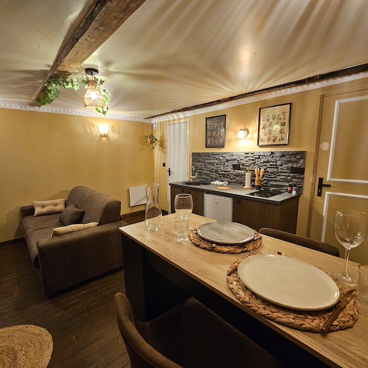 Studio Rustique En Cœur De Ville - Charleville-Mézières