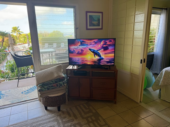 Beautiful Poipu Ocean View Condo - Hawaï