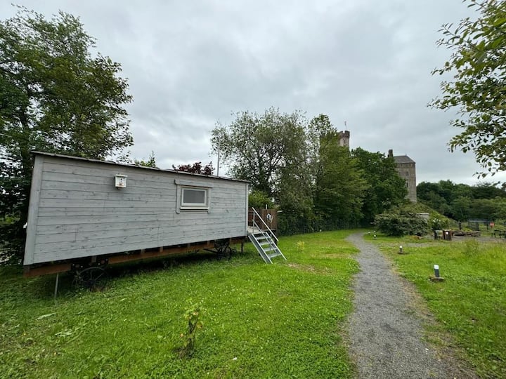Schäferkarren 3 "Burgblick" - Daun