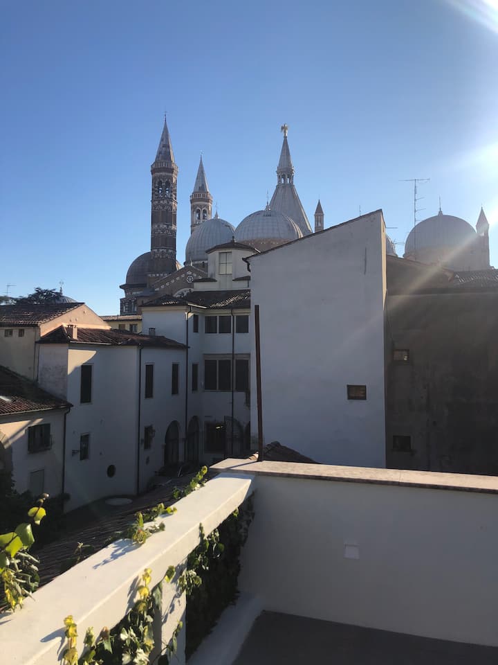 La Terrazza Sul Santo - 巴都亞