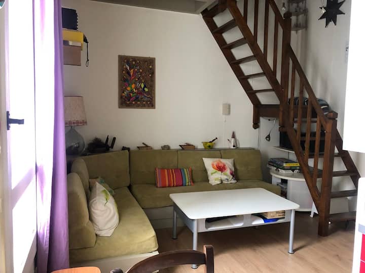 Duplex Au Pied Des Pistes Guzet Neige - Aulus-les-Bains