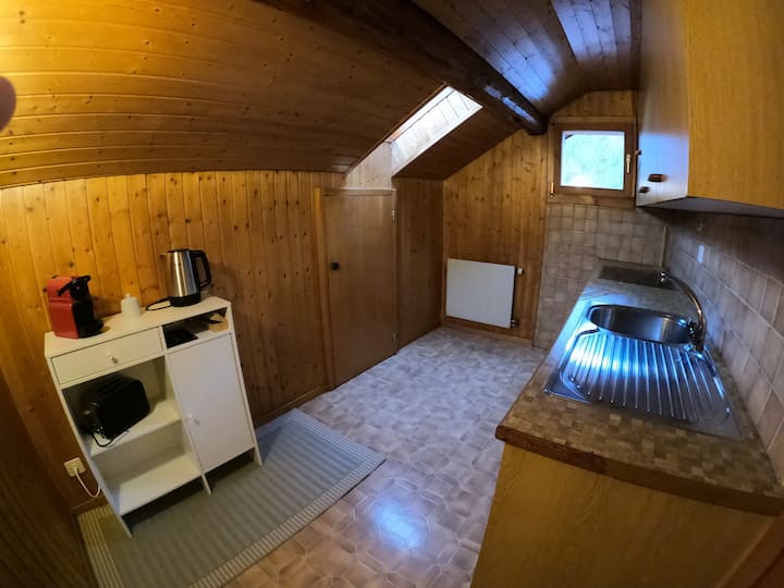 Panorama Apartment - Wilderswil