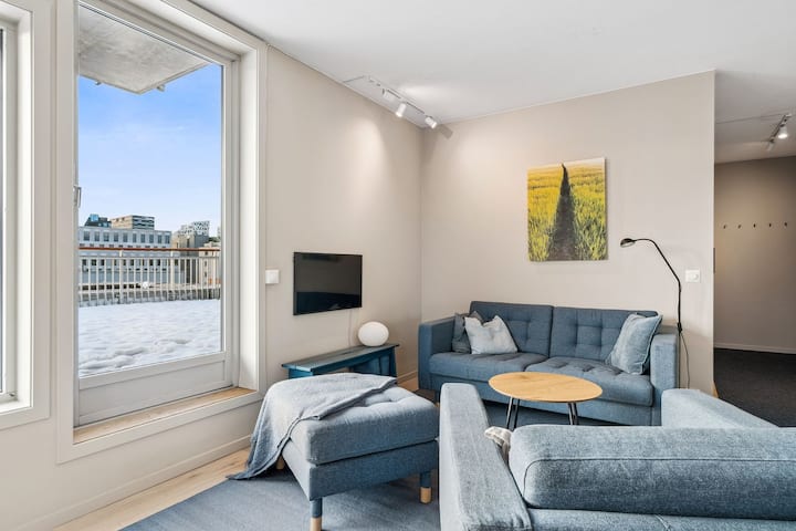 Modern City Oasis In Oslo's Heart - Oslo