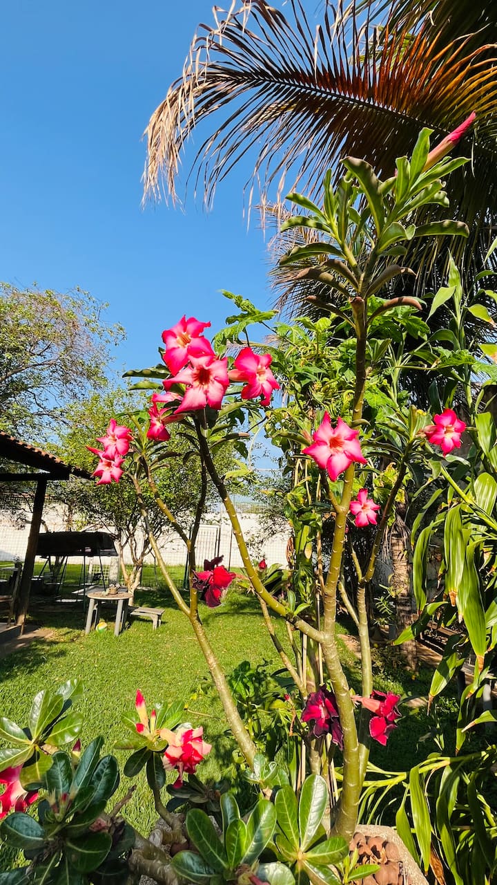 Chácara Portal Dos Ipês- - Ribeirao Preto